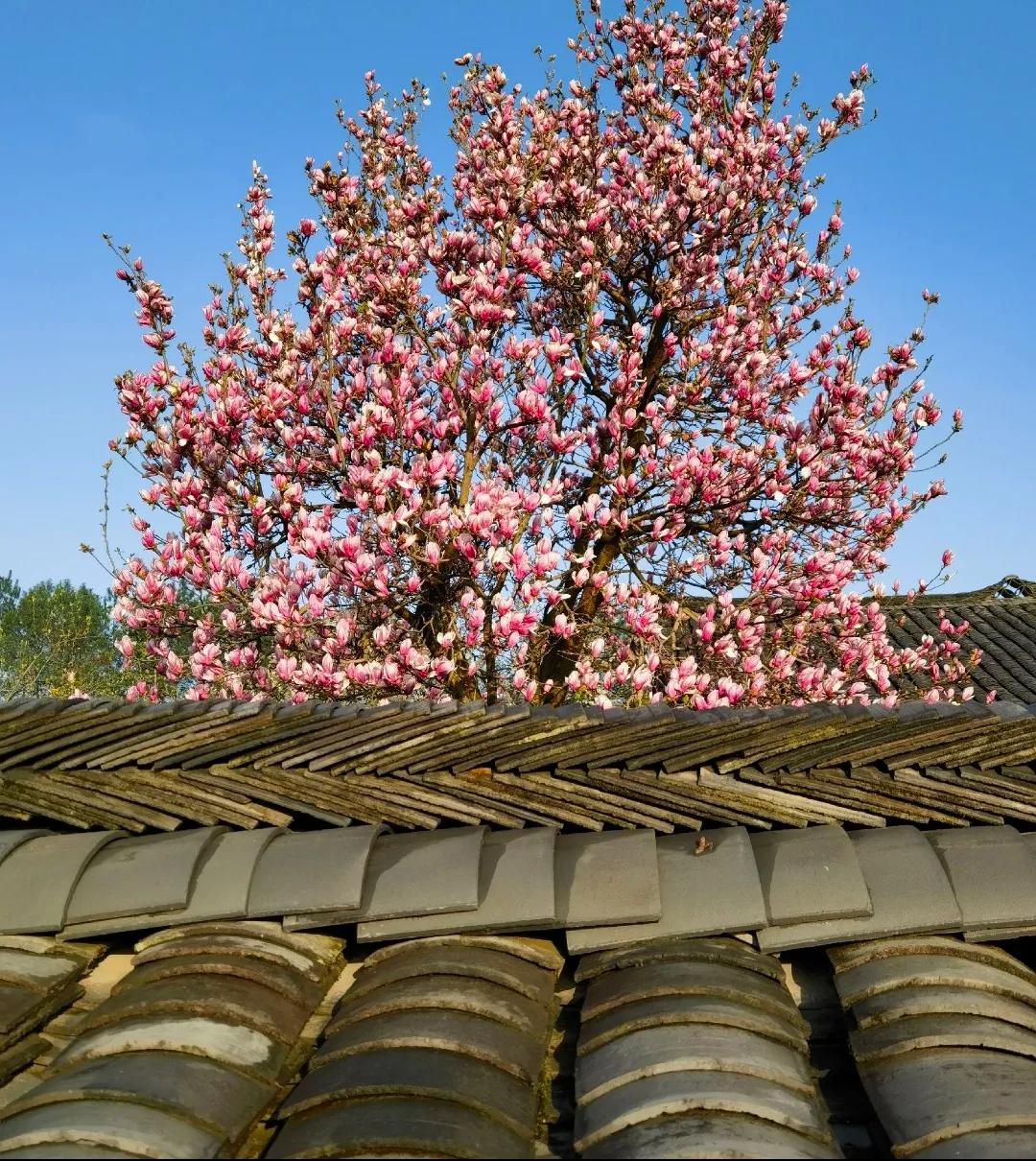 China's largest stone mill open-air museum - Haiyi Tianshan Villa - iNEWS