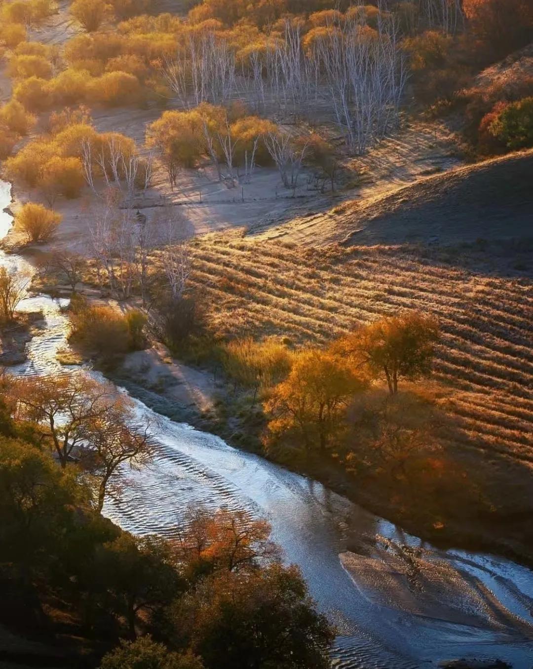 Partridge Sky·Lotus Drunk (Feng Shujun) - iNEWS