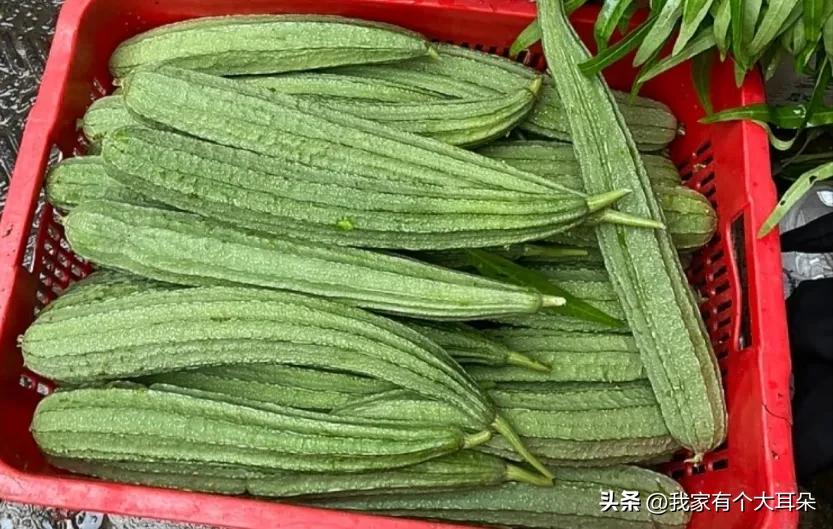 The essential loofah soup in summer, 5 common collocations, clearing ...