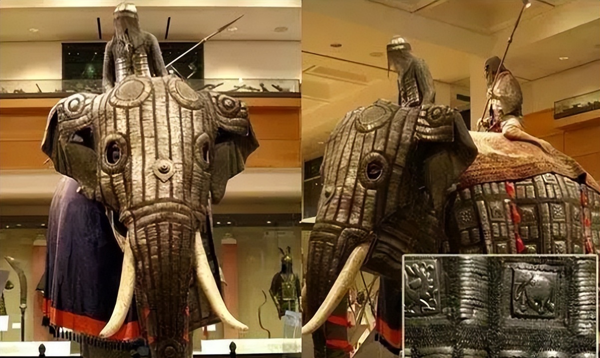 What role did the war elephants of the Ostrogothic Kingdom play in ...