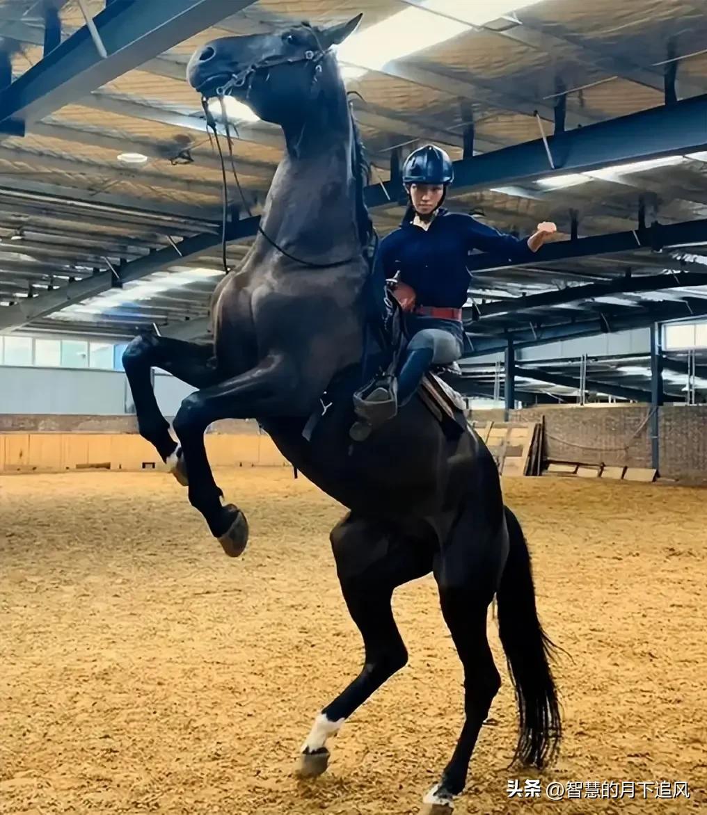 If you were a screenwriter, how would you design the plot about Deng ...