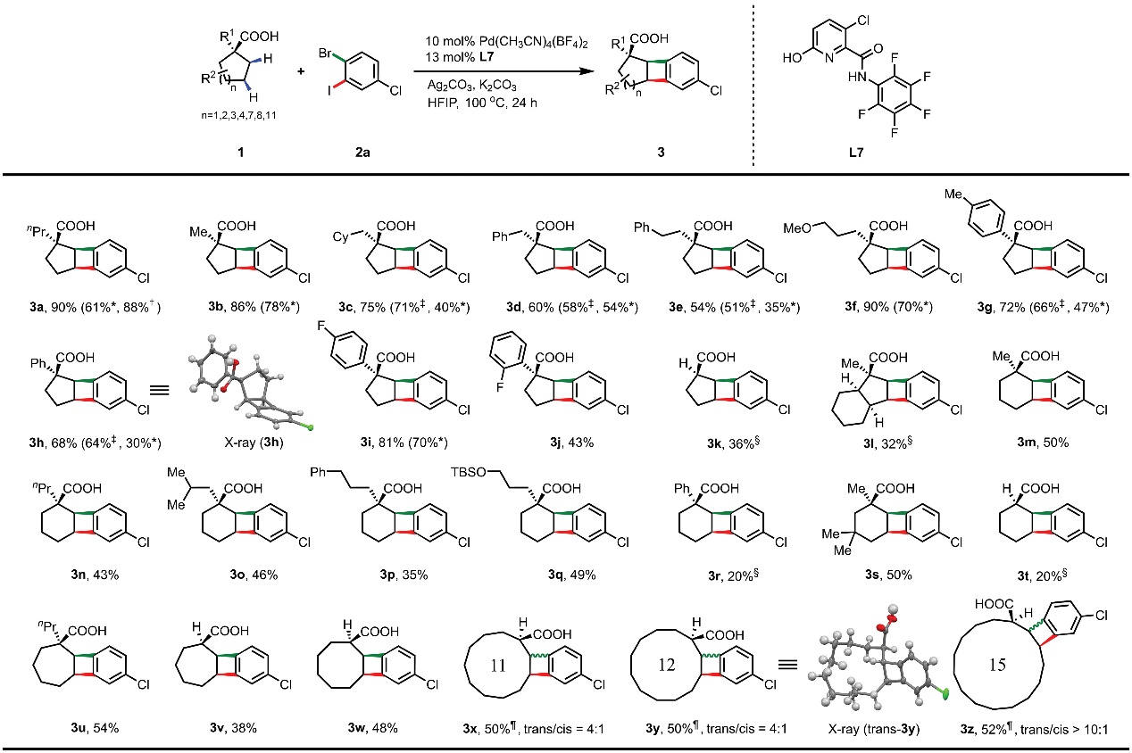 Yu Jinquan's team Science: A new strategy for the synthesis of ...
