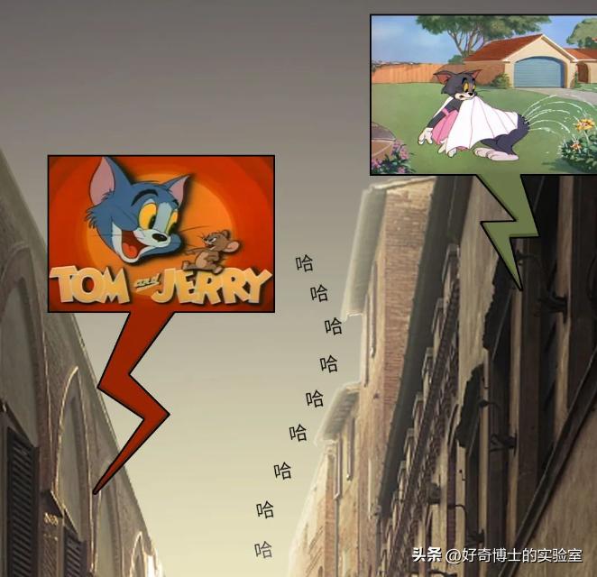 "Tom and Jerry" is not a children's cartoon but an adult film - iMedia