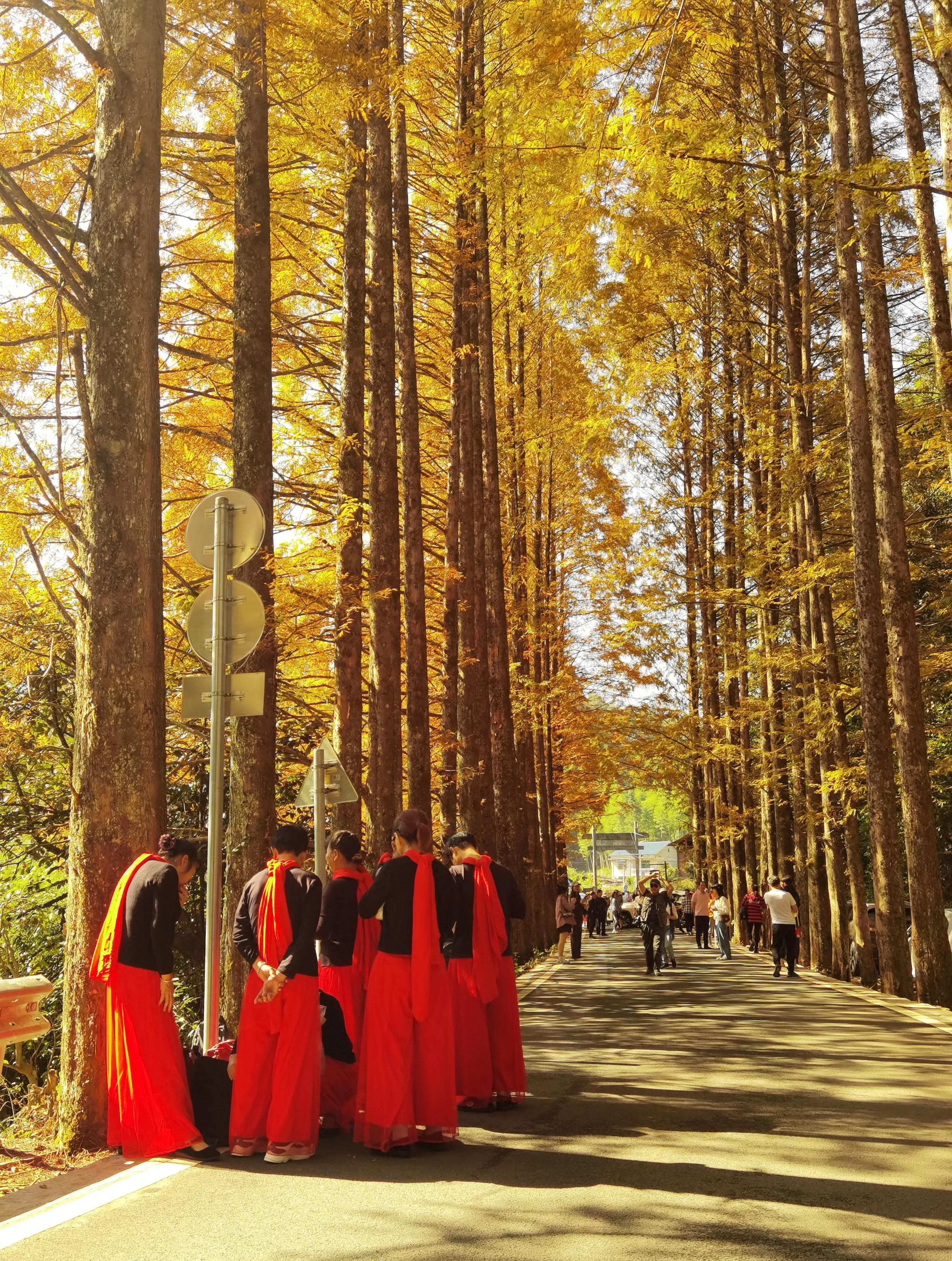 Early winter in Longqi Mountain - iNEWS