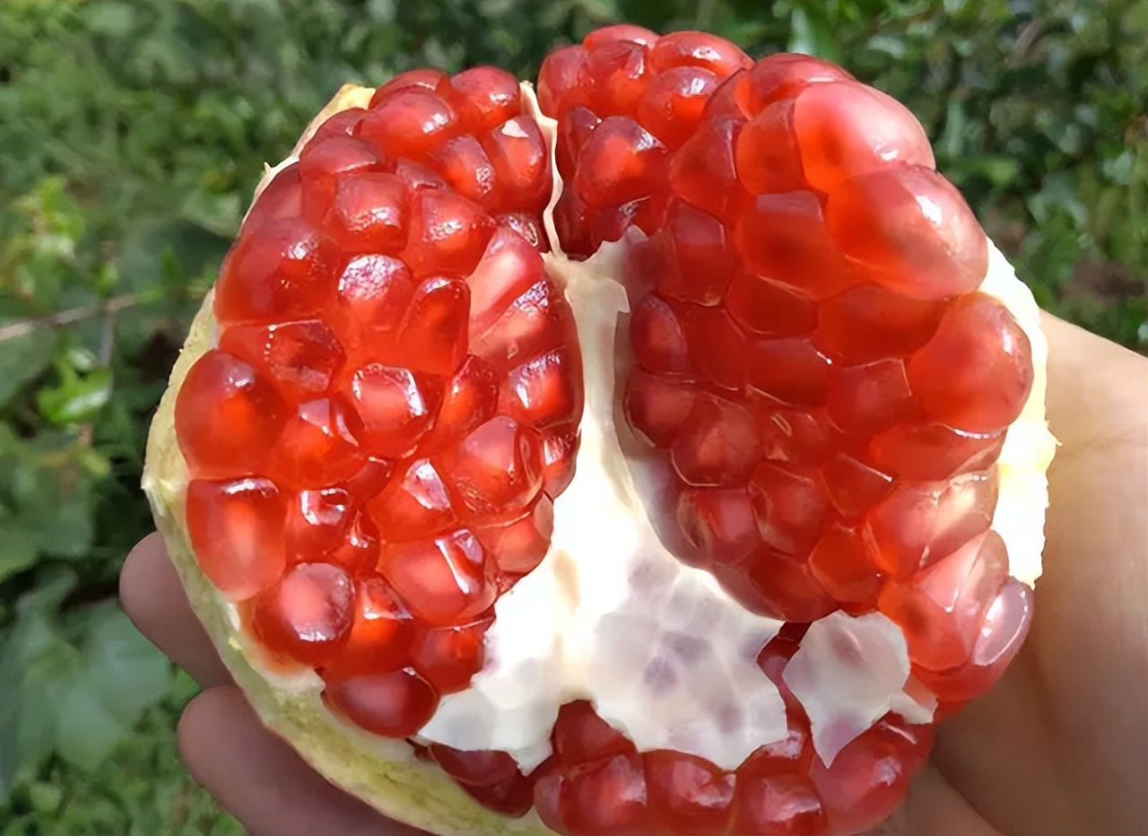 6 kinds of fruits that stomach diseases "hate" - iNEWS