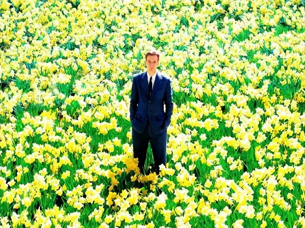 Reality and fantasy in the movie "Big Fish", an immersive journey of ...