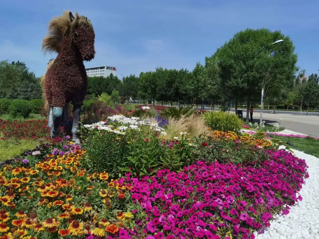 Another large flower border in the Grassland Silk Road Cultural Park ...