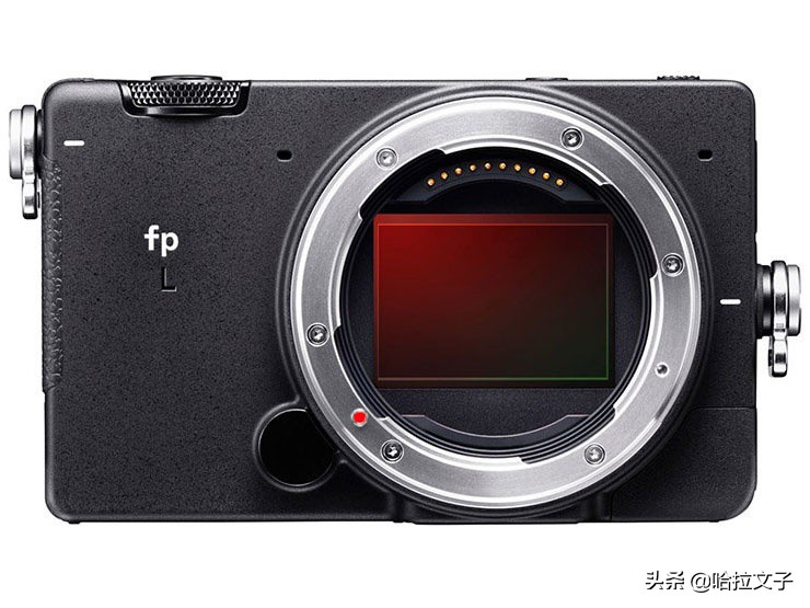 Sigma FPL, the smallest full-frame mirrorless camera, professional ...