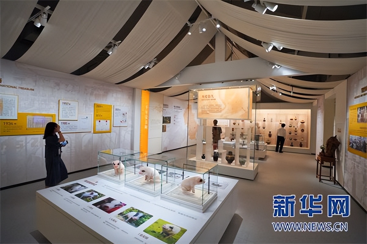 Telling the story of Rongchang Rongchang History and Culture Exhibition ...