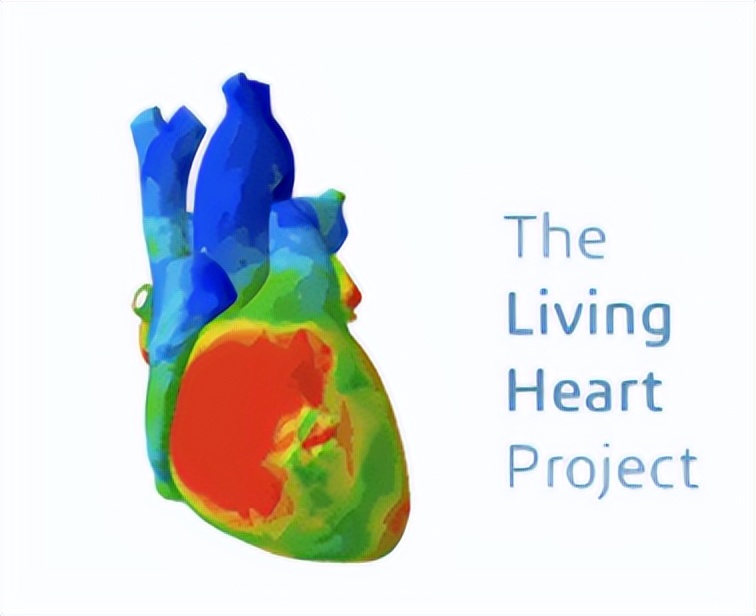 Digital twin - Siemens and living heart project in the heart field - iNEWS