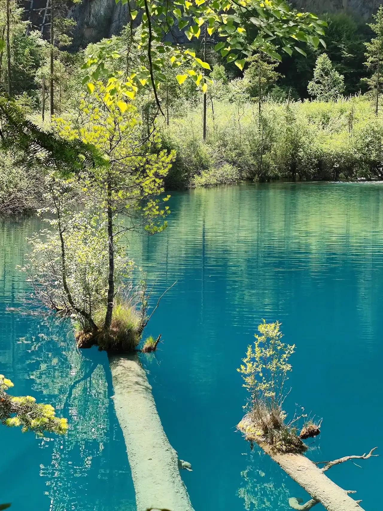 Don't cry, let's come again next time, Jiuzhaigou Wucai Pond is almost ...