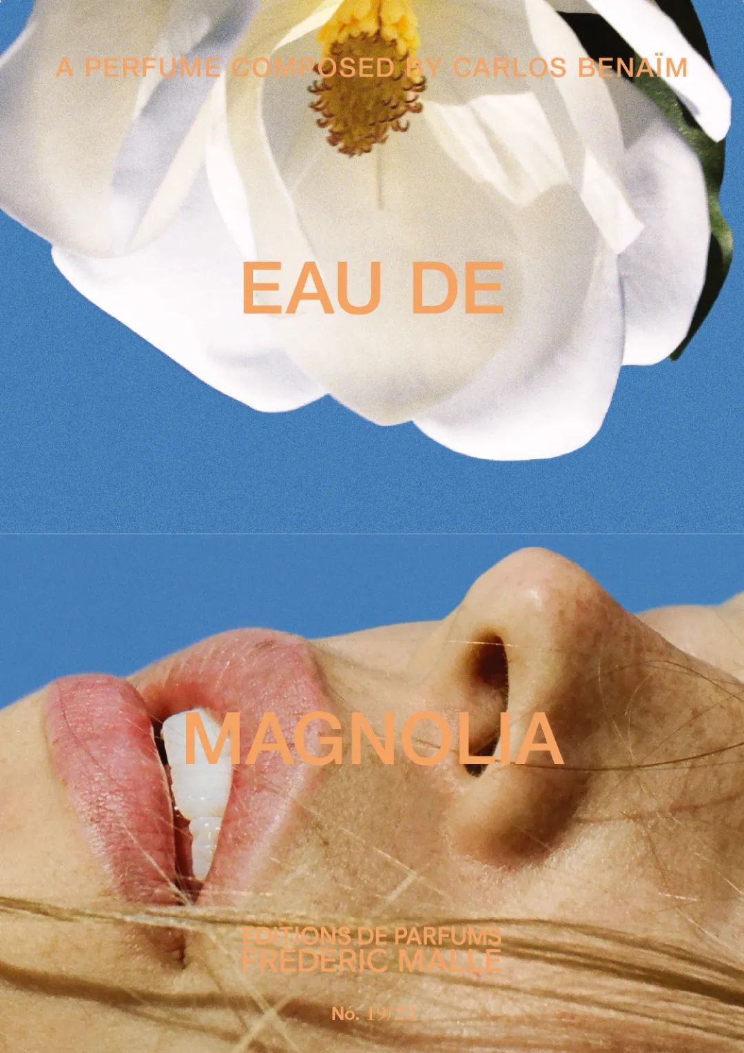 Elegance is more than clothing - a fantastic fantasy about French ...