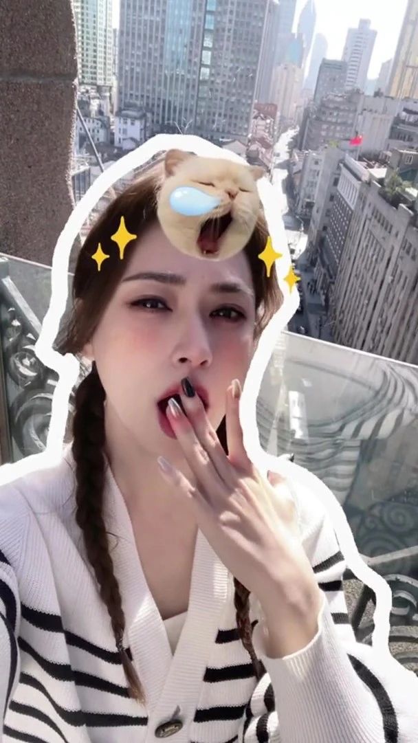 Twins fancy cat fighting show cute Gillian was praised for the real ...