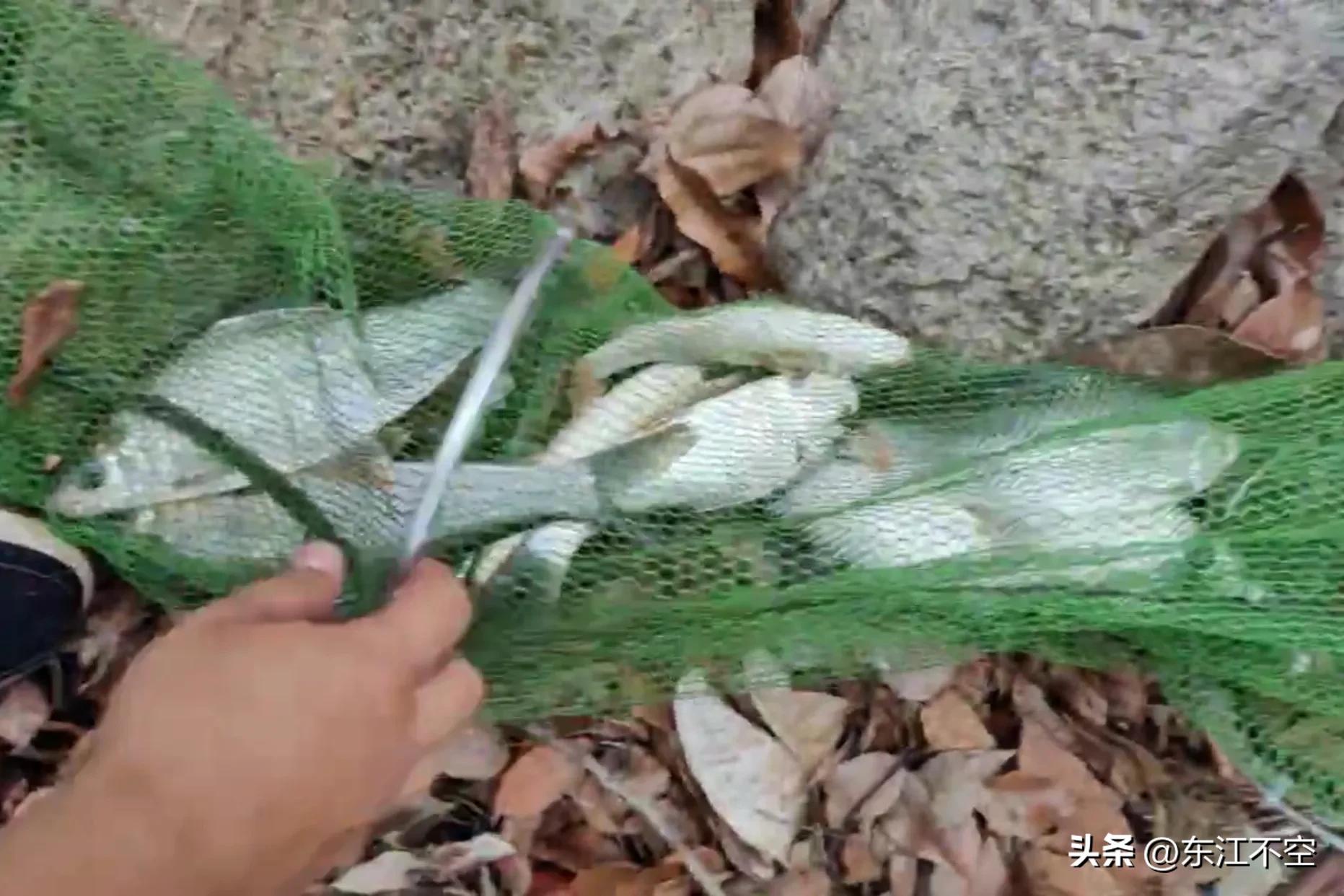 There was a sudden torrential rain in the Dongjiang River. After the ...