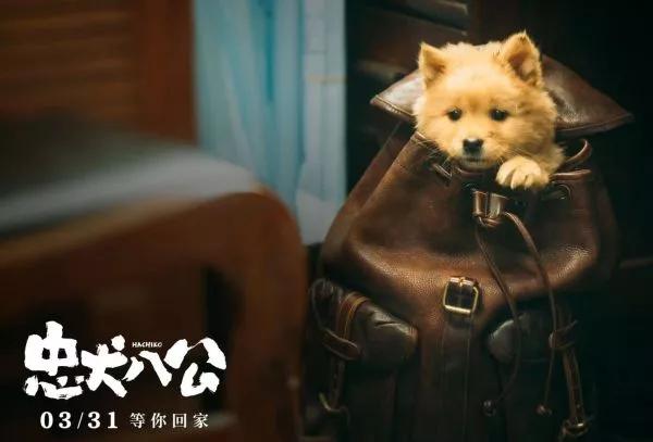 Unexpectedly, the box office of "Journey to Bell Bud" is so good - iNEWS