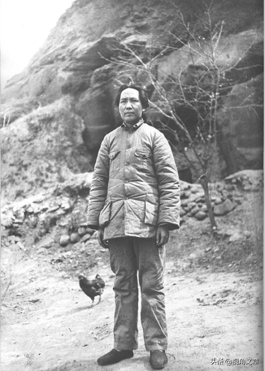 Mao Zedong's strategic thinking of making cats eat chili by themselves ...