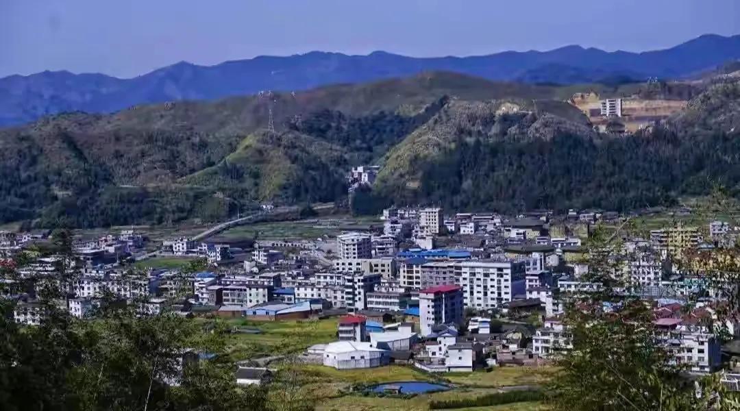 Magpie Bridge Immortal • Reunion in Twilight - iNEWS