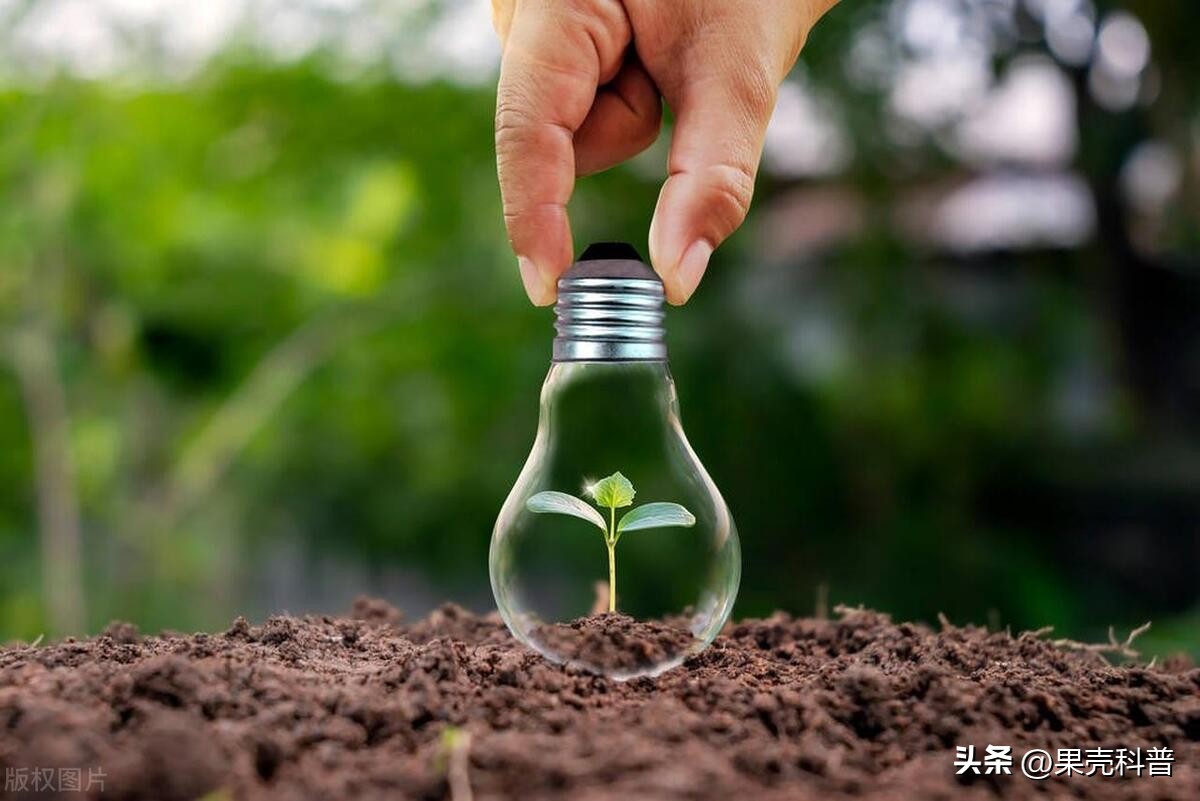 Symbiosis across species: exploring the relationship between humans and ...