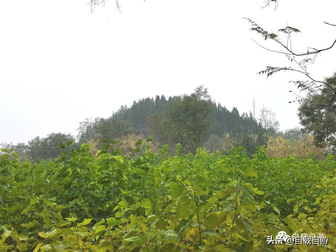 Visiting the sacred capital and telling the story of Luoyang (57 ...