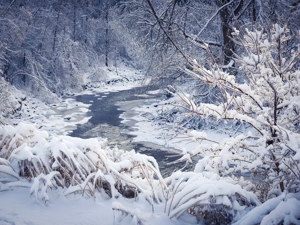 [Flying Flower Order] One Hundred Sentences of Poems with "Snow" - iNEWS