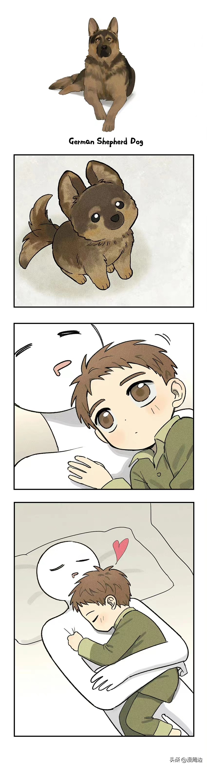 "Anthropomorphic Comics" Sleeping Xiugou - iNEWS