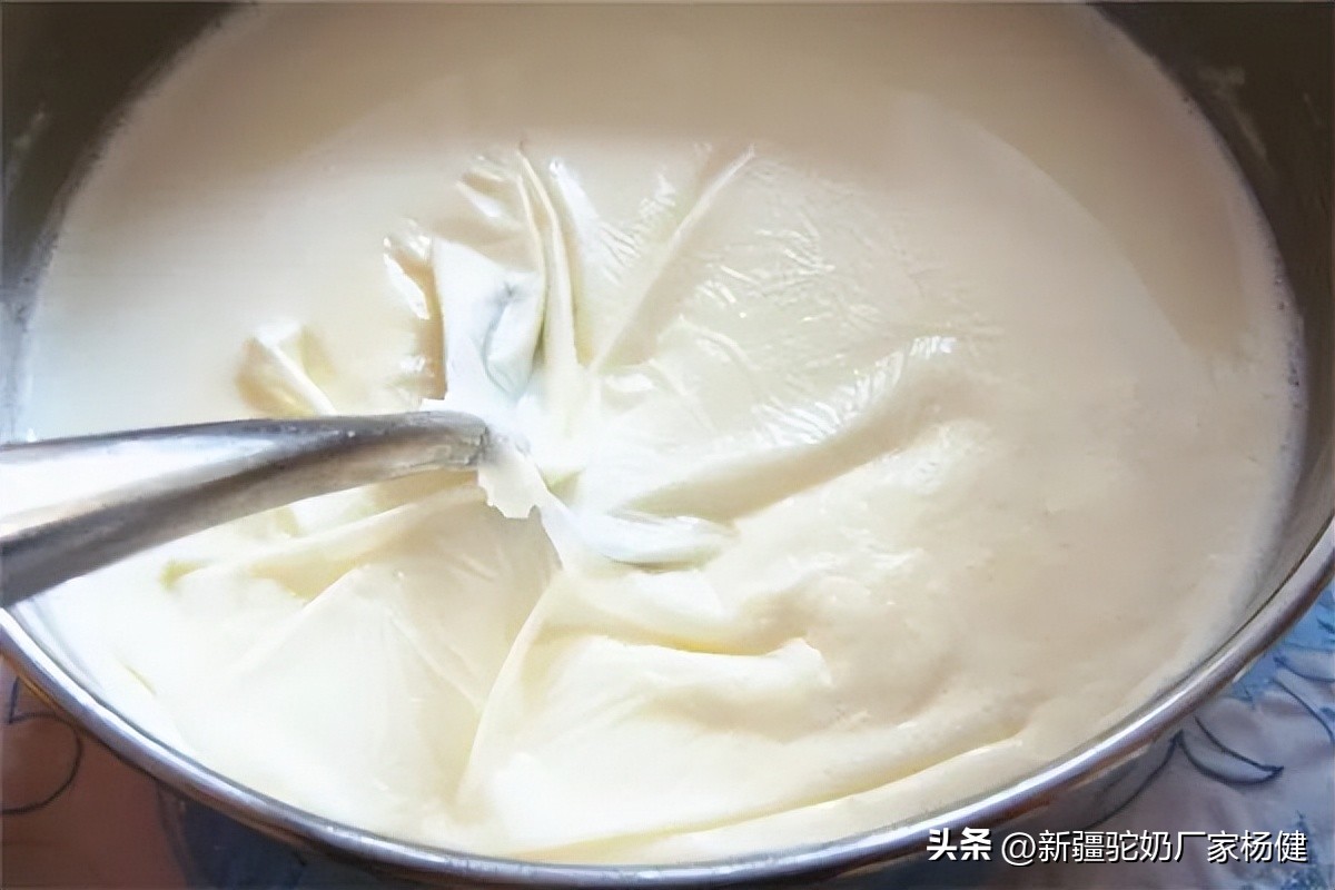 Various traditional eating methods of camel milk~ - iMedia
