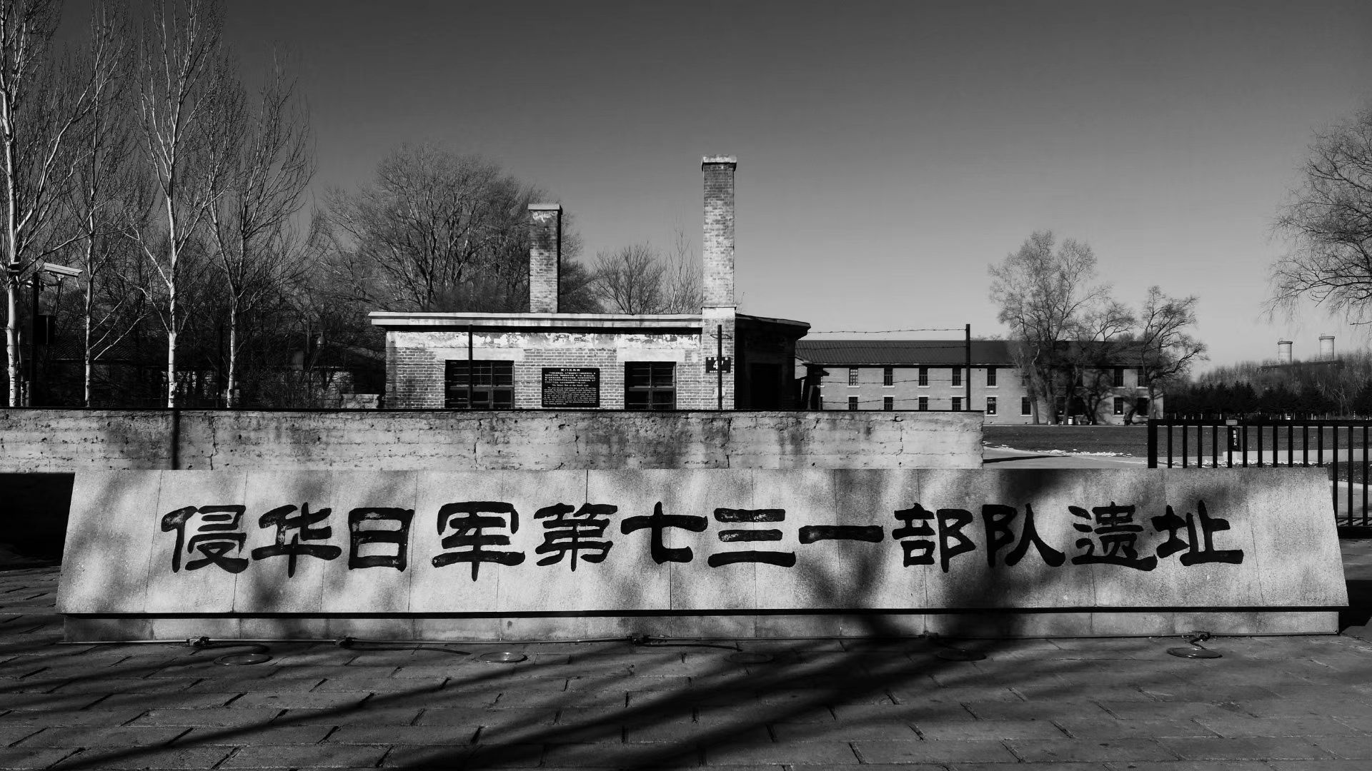 Memories of Suffering: Exploring the Darkness of German History - iMedia