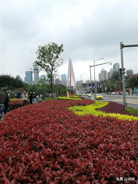 Changjiahui: The Hermitage of the City - iNEWS