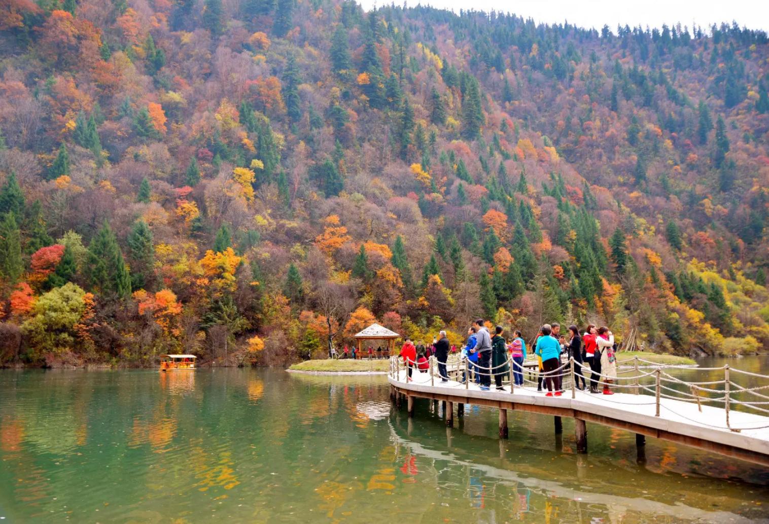 Admiring the red leaves in late autumn in Chengdu: calcified land, dyed ...