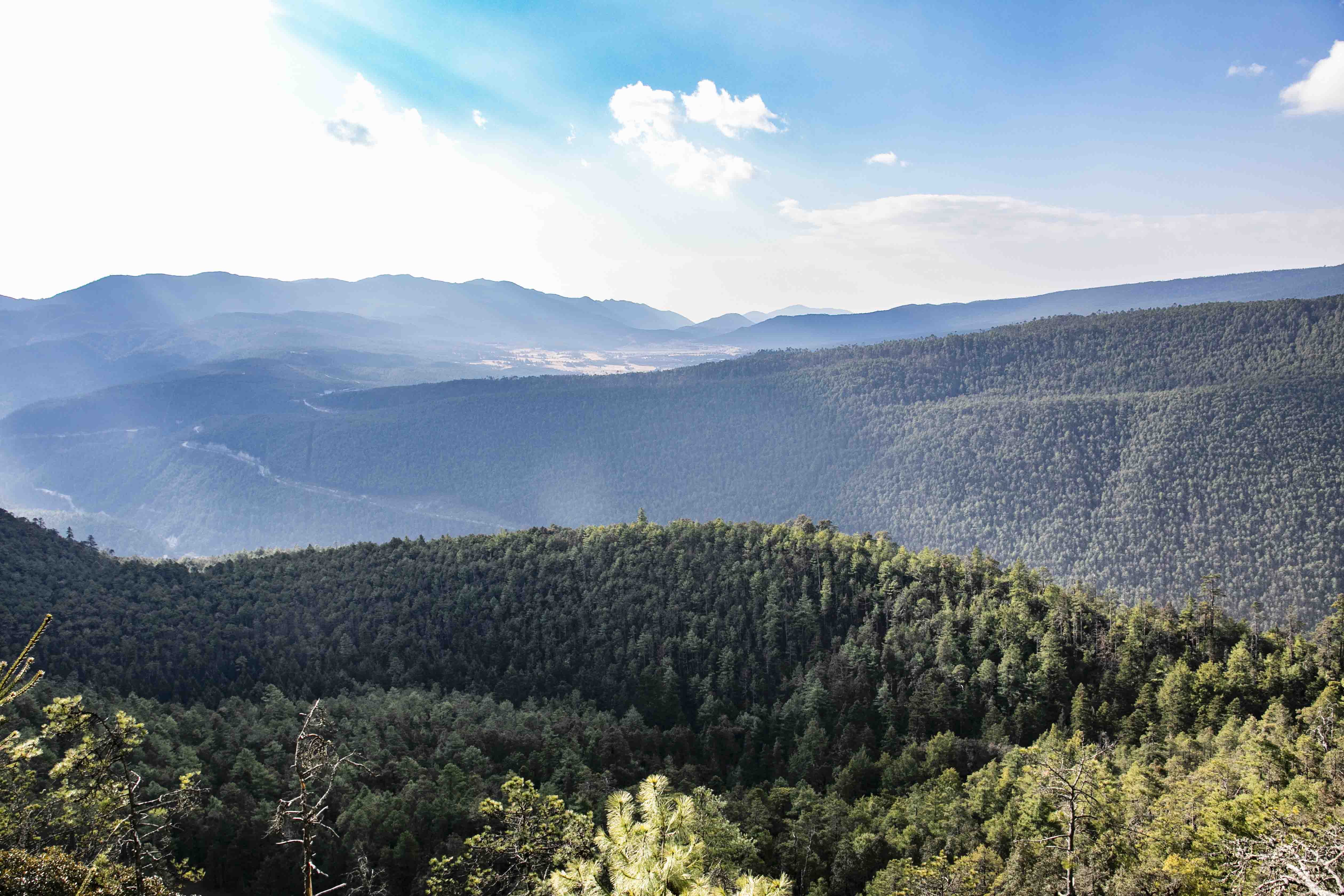 Fengshan is gradually gaining virtue - iNEWS