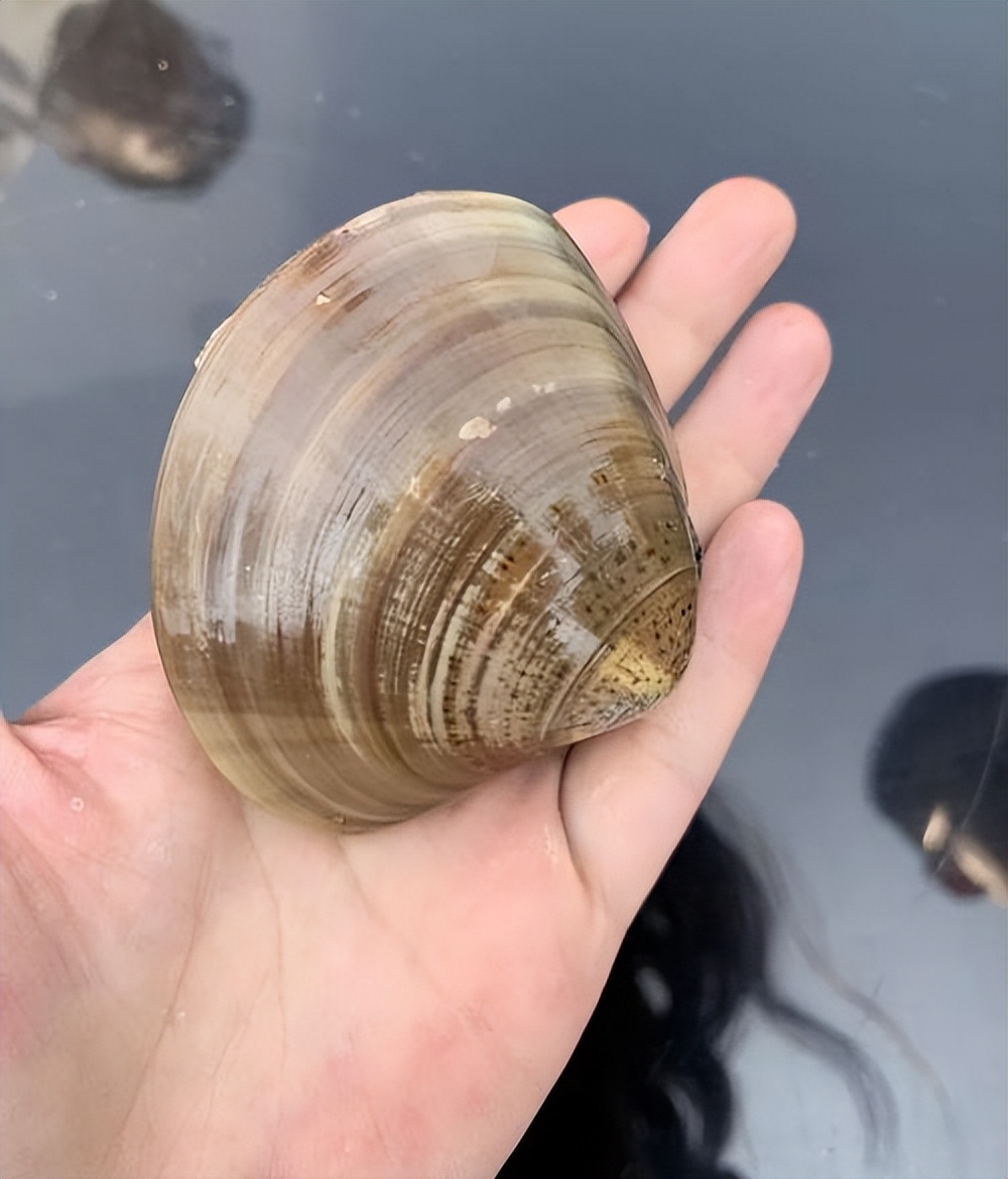 This place is really the best choice for catching the sea. The clams ...