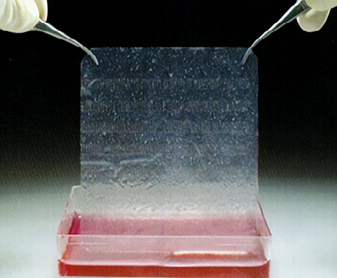 "Story of Invention and Creation" (276) - Two American professors ...