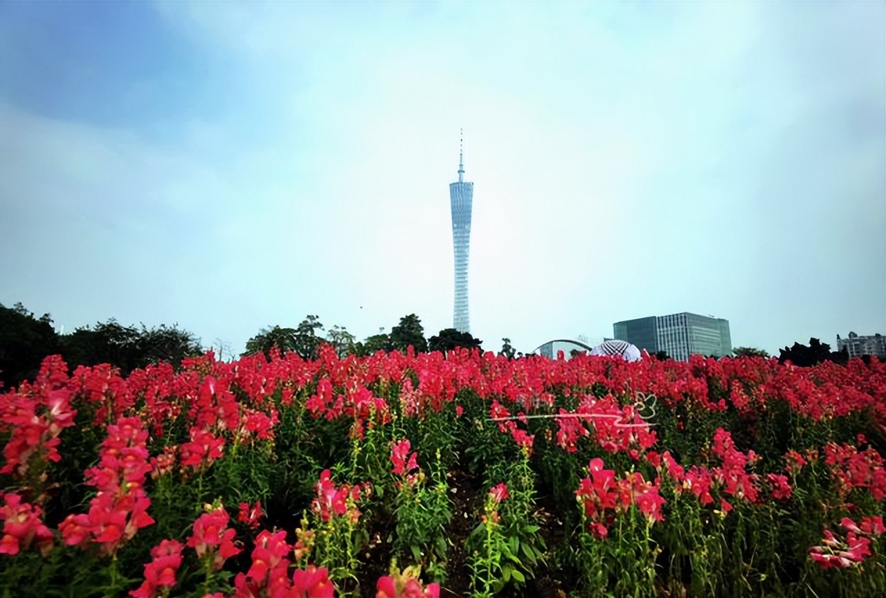 The "Monet Garden" next to the Haixin Bridge in Guangzhou, the four ...