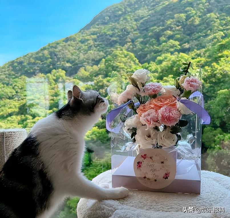 Reunited with Li Zekai?Liang Luoshi celebrated the festival with a high ...