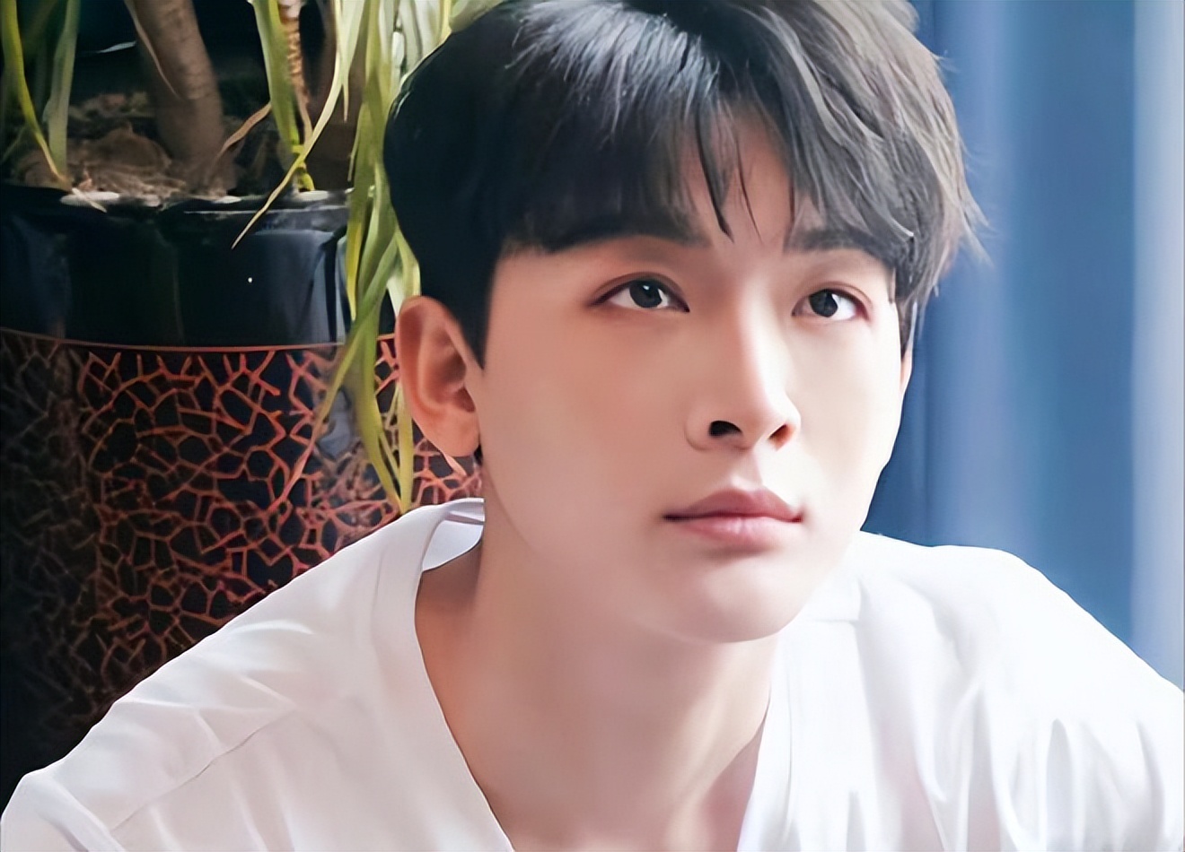 Zhang Wanyi officially announced two big dramas in one day, one is a ...