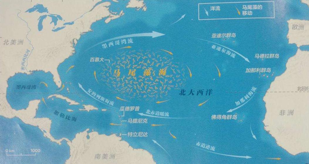 Why is the dividing line between the Pacific and the Atlantic so clear ...