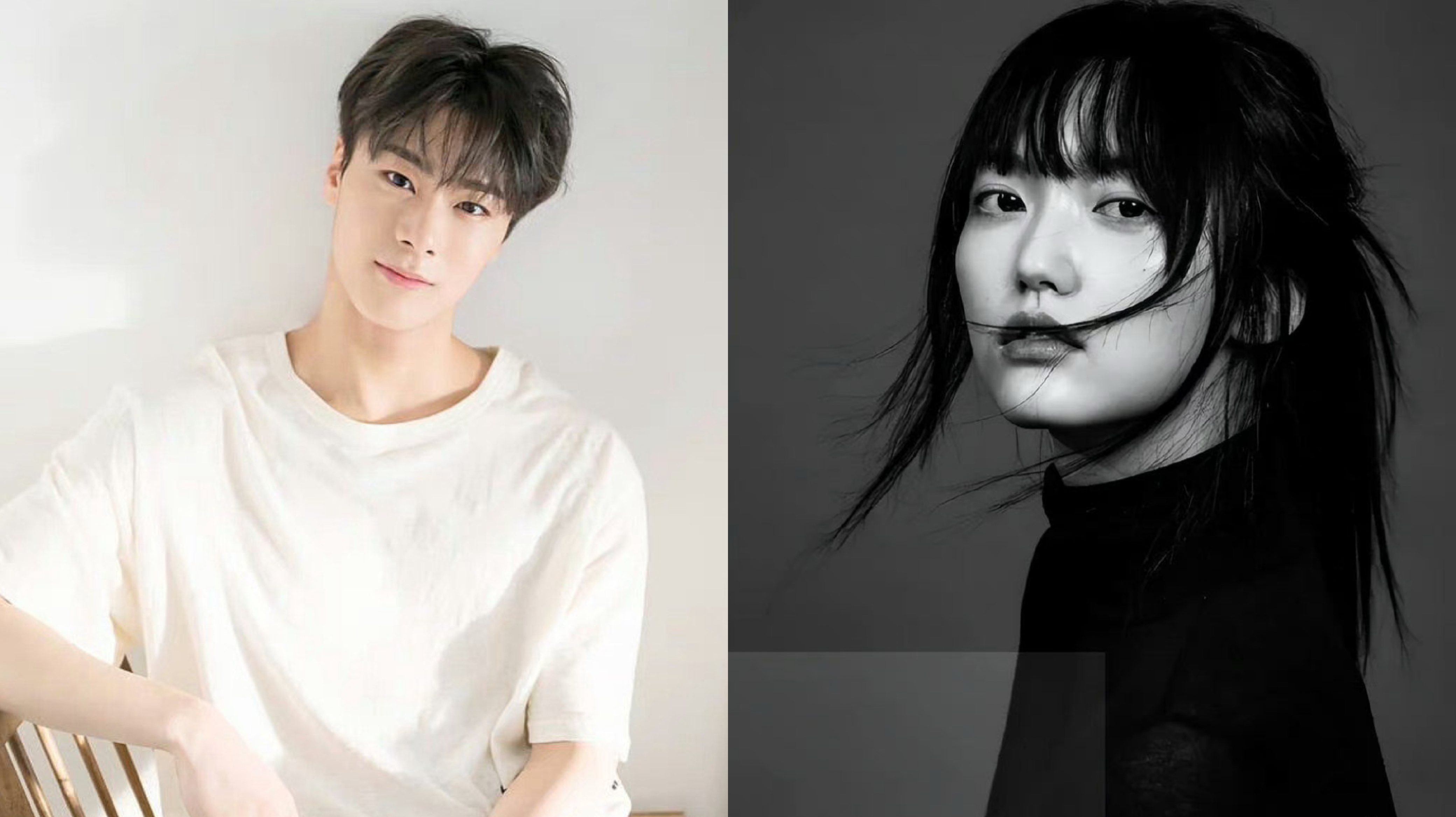 Another Korean star died at home! Demystifying the "cannibalism ...