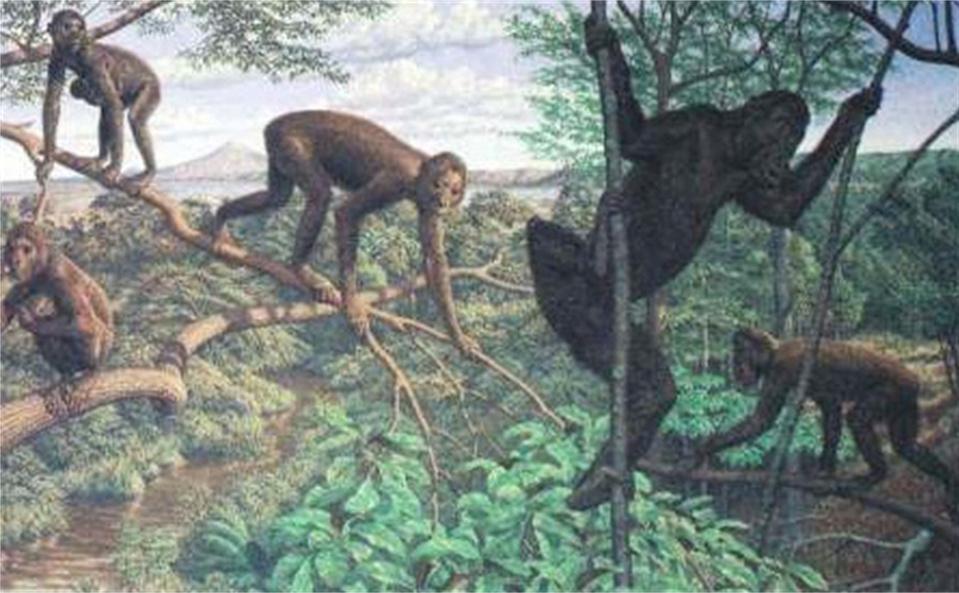 When do humans lose all their hair?Special parts are retained, but the ...