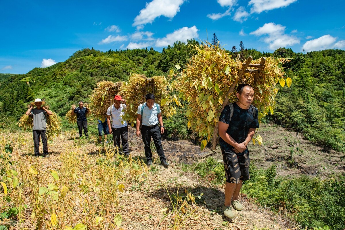 Ten Habits for Longevity, How Many Can You Do? - iNEWS