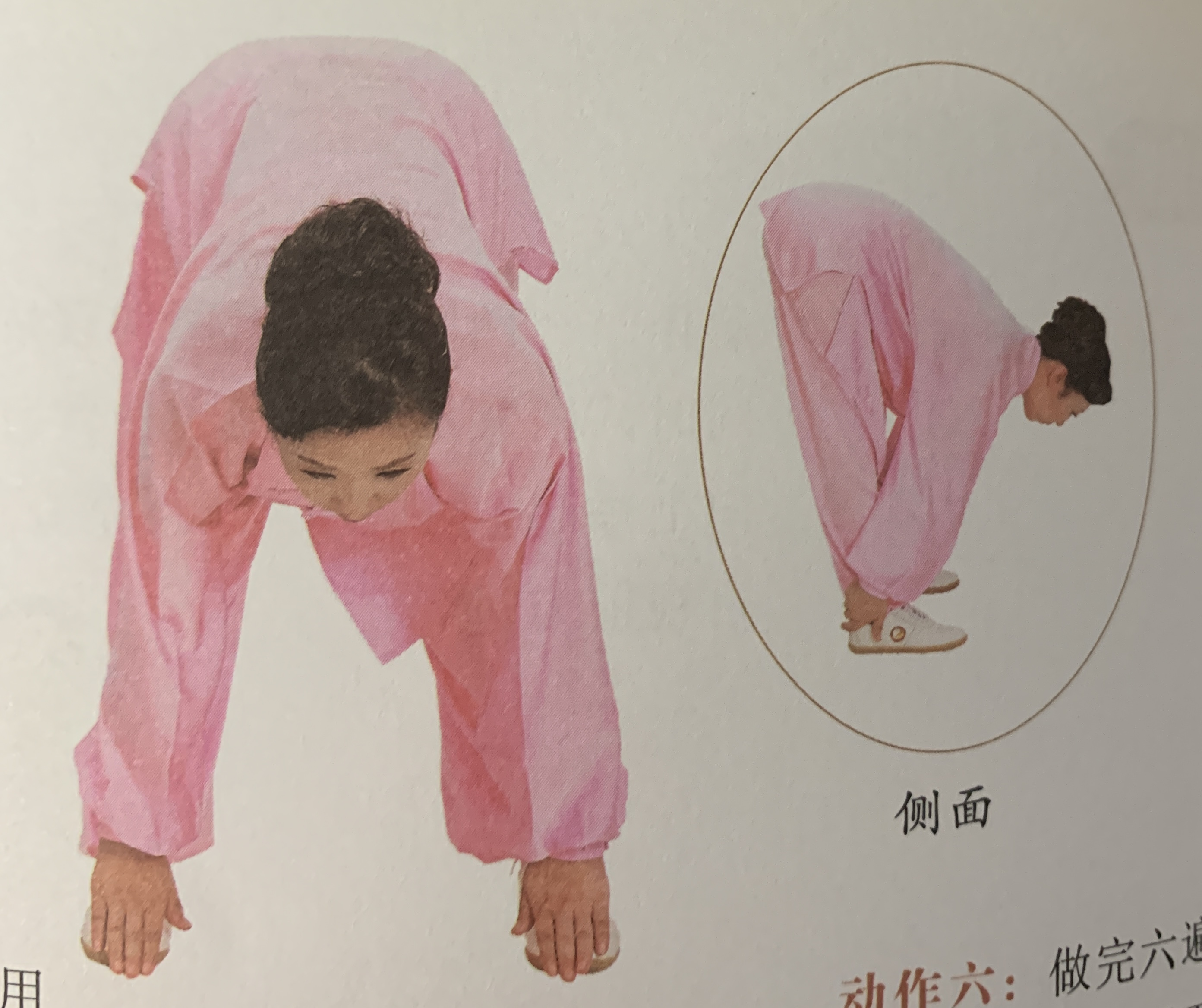 King Kong Gong and Baduanjin Study 6: A detailed study of the two kinds ...