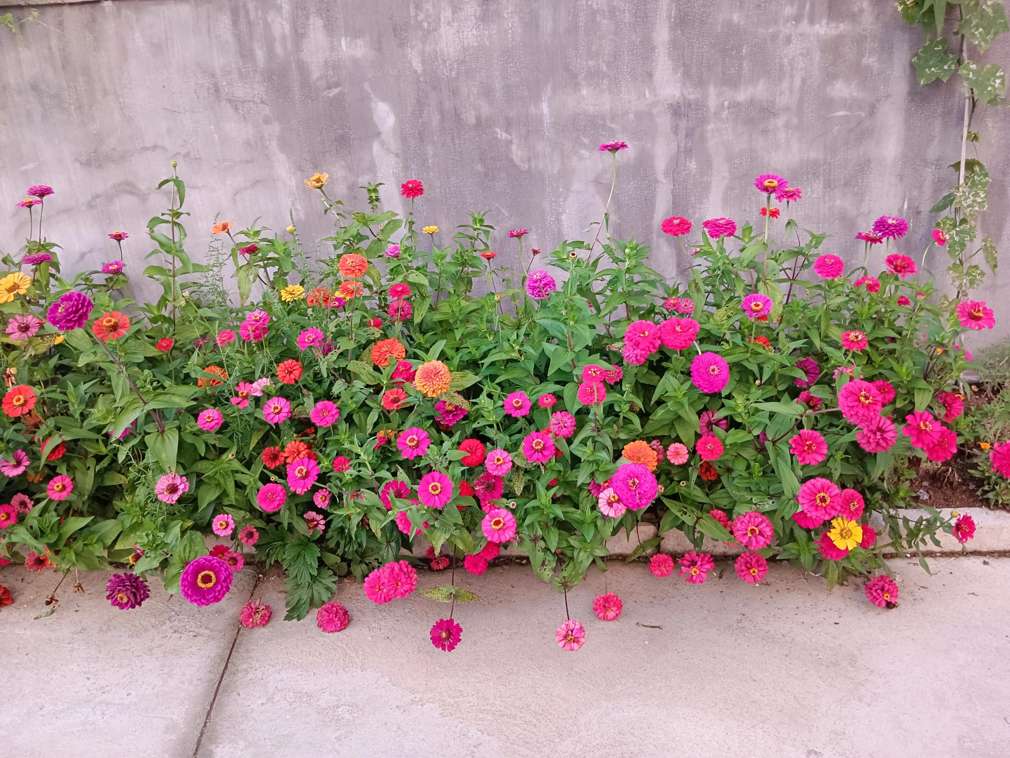 Jiang Tian is one color without fine dust, and the lonely moon wheel in the bright sky - iNEWS