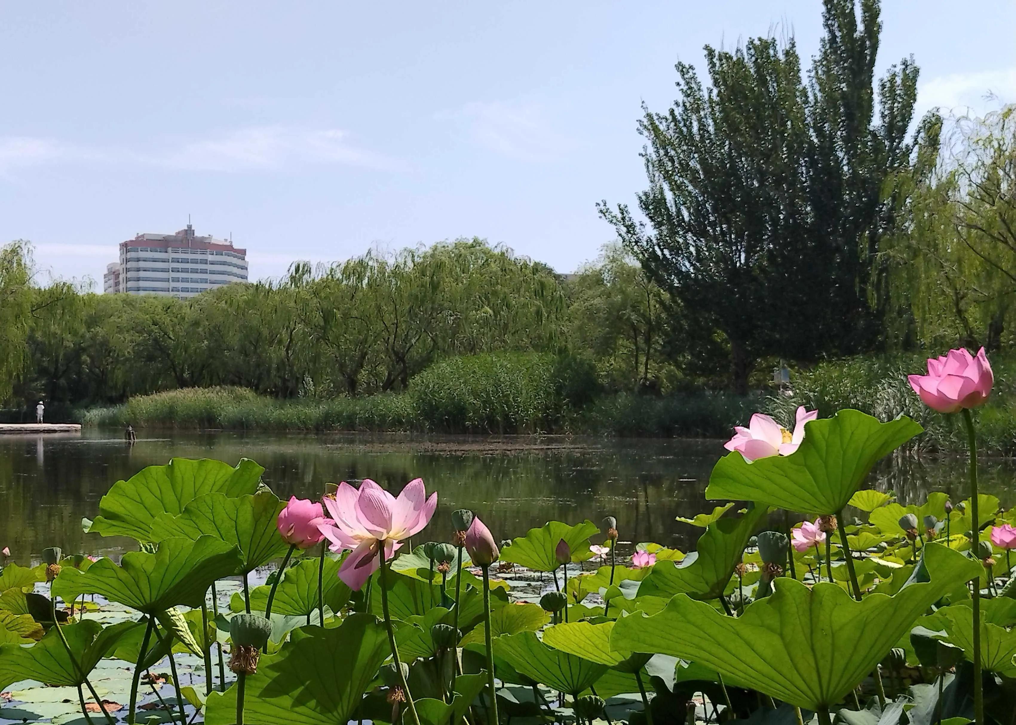 Qingcheng Manduhai Park - iNEWS