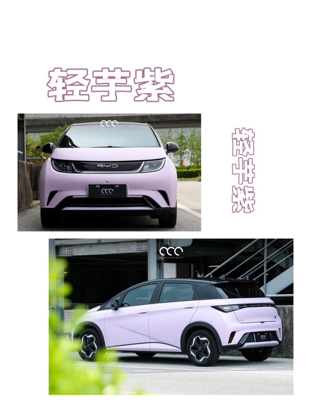 BYD Dolphin diffuse color change film is light taro purple, sweet ...