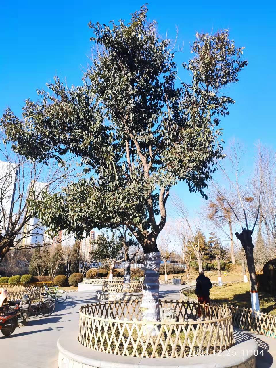 A visit to Baoding Fuhe Park - iNEWS