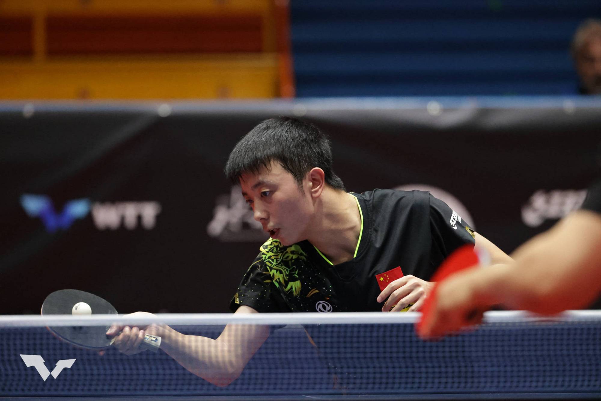 Chen Yuanyu swept Lin Zhongxun, showing the advantages of COSCO Taiwan ...