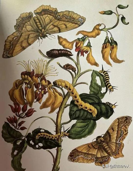 The influence of ancient Roman botanical gardens on plant science and ...