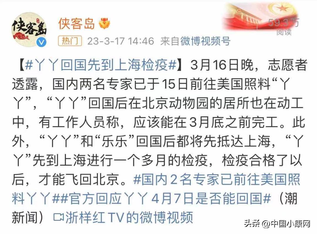 New progress of "Yaya" returning to China: she will go to Shanghai for ...