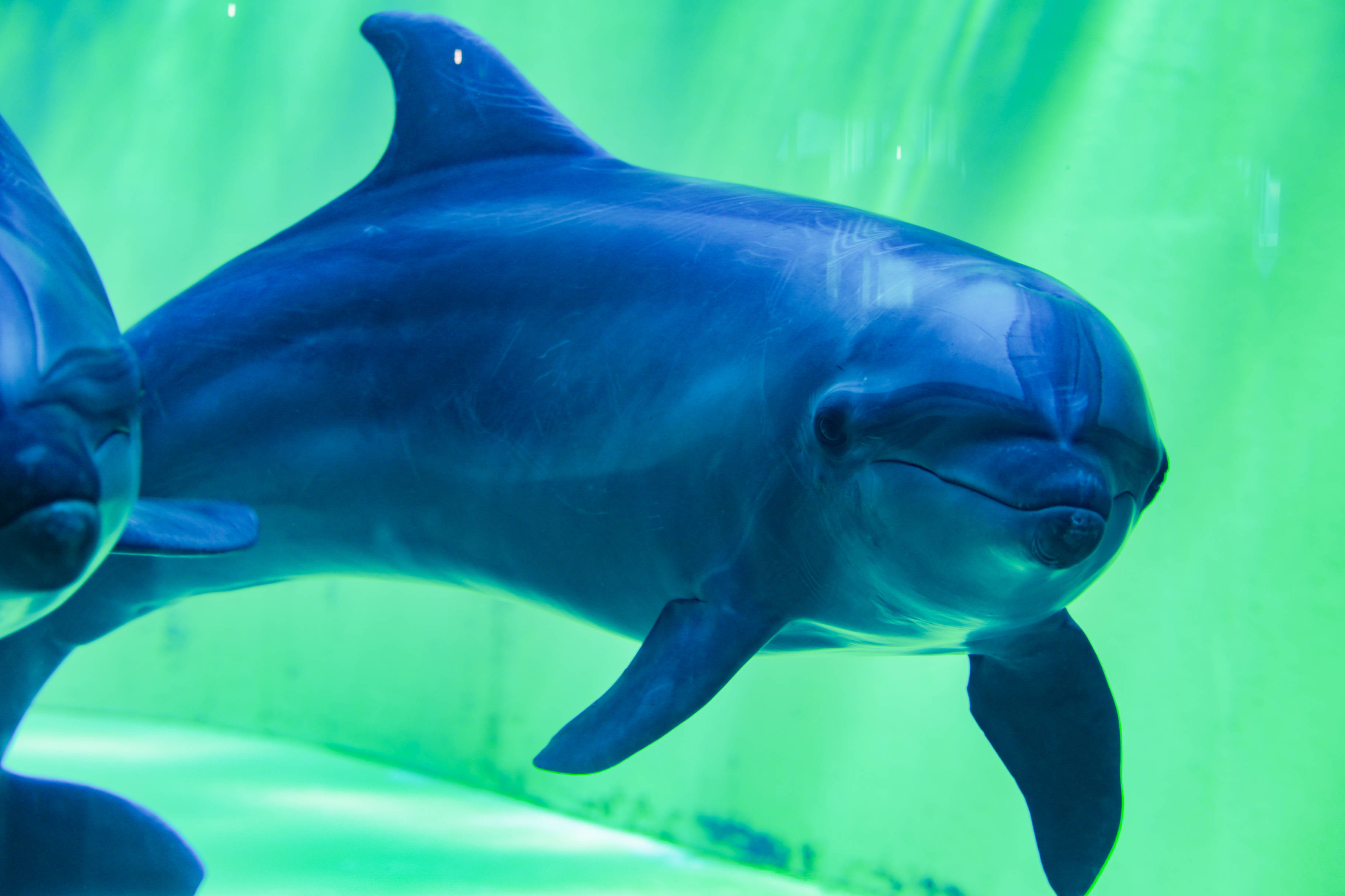 "Treasure Travel Route" Hai Chi, where there is the purest nature and ...