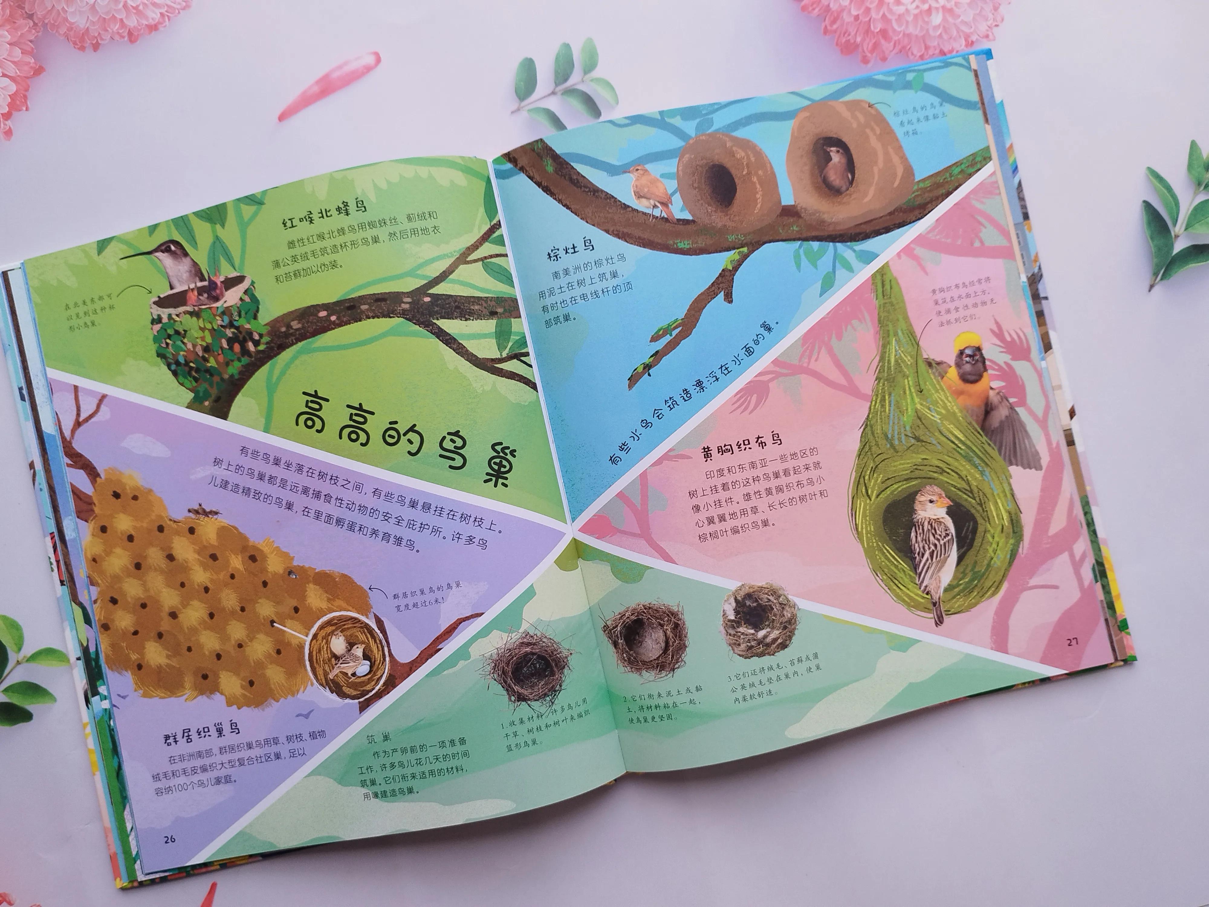 Explore the mysteries of nature and meet the unknown world - iMedia