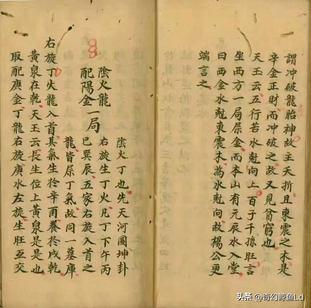 Kanyu yin and yang forty-eight dragons - iNEWS